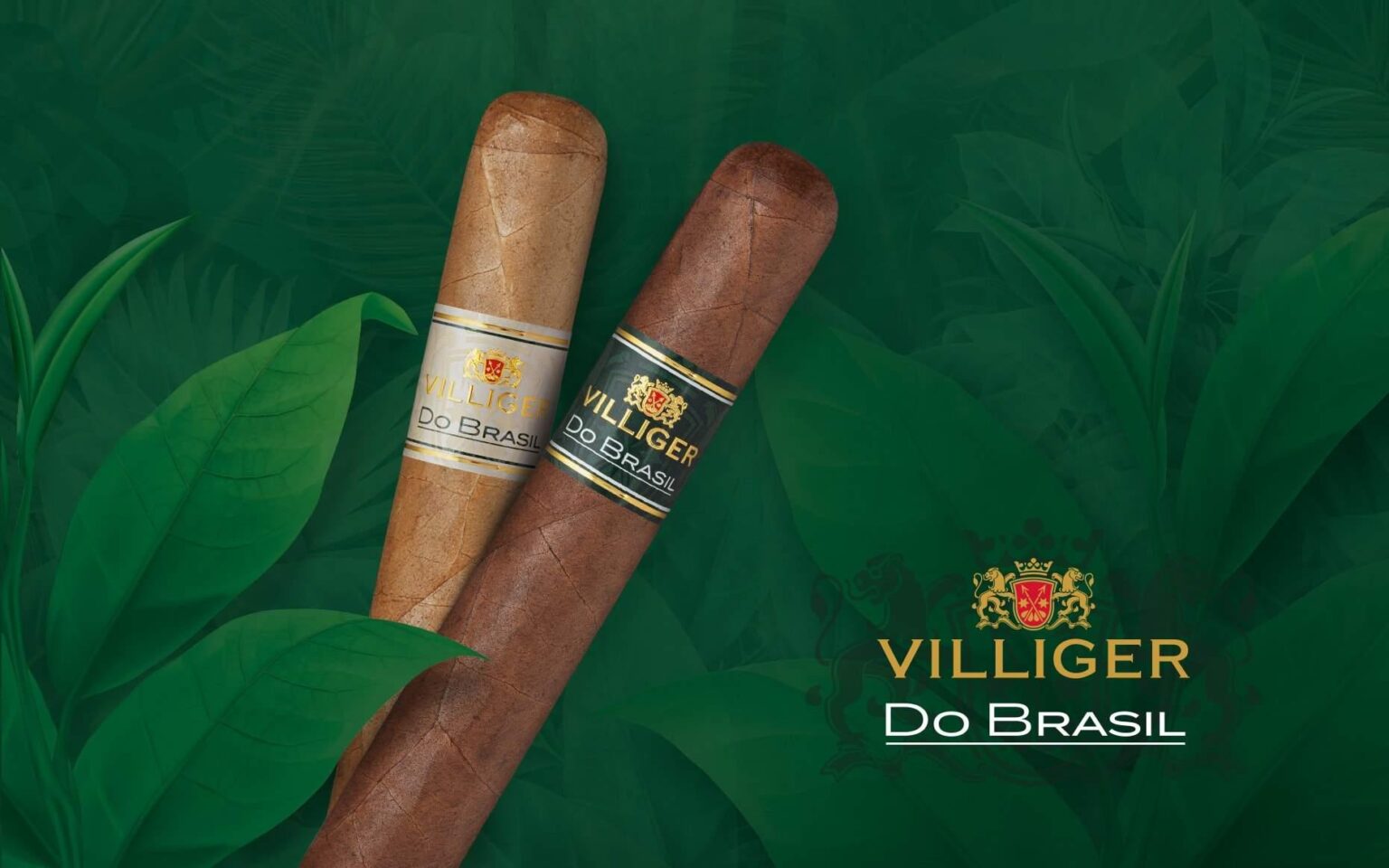 Villiger Do Brasil Maduro Robusto - Zigarrenhaus Sturm | Kaufen Sie ...